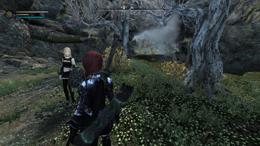 【2025年版】SkyrimのHUDを現代風に作り直すMOD集 | ぶんちりーメモランダム